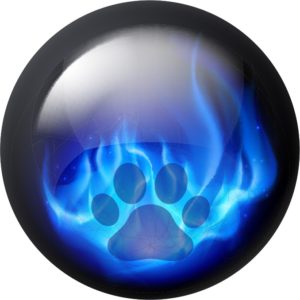 Fire Paws Studio | Paw-Trails Digital Solutions